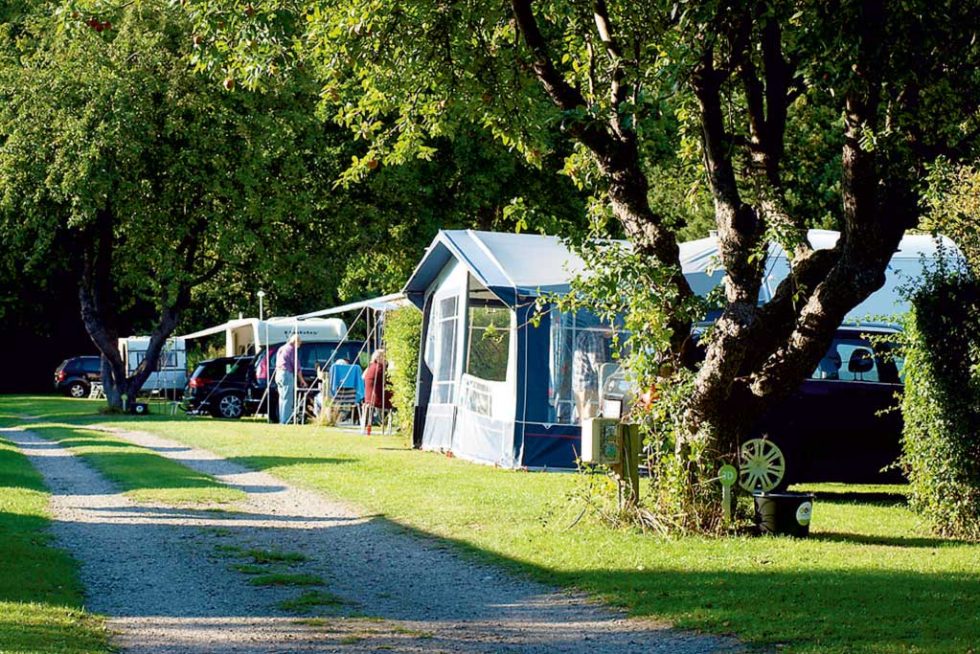 Guldborg Camping & Hytter | Familien på Campingferie | Lolland-Falster
